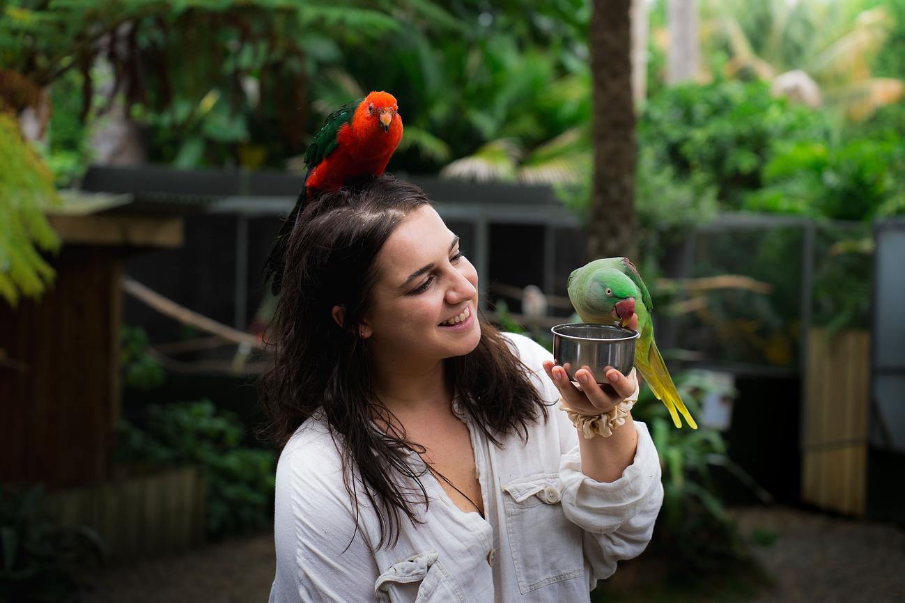 The Parrot Place | Riparide