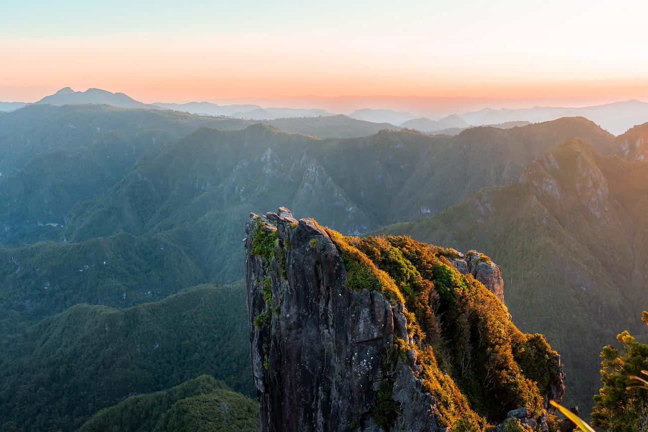 Hike the Kauaeranga Kauri Trail to The Pinnacles | Riparide