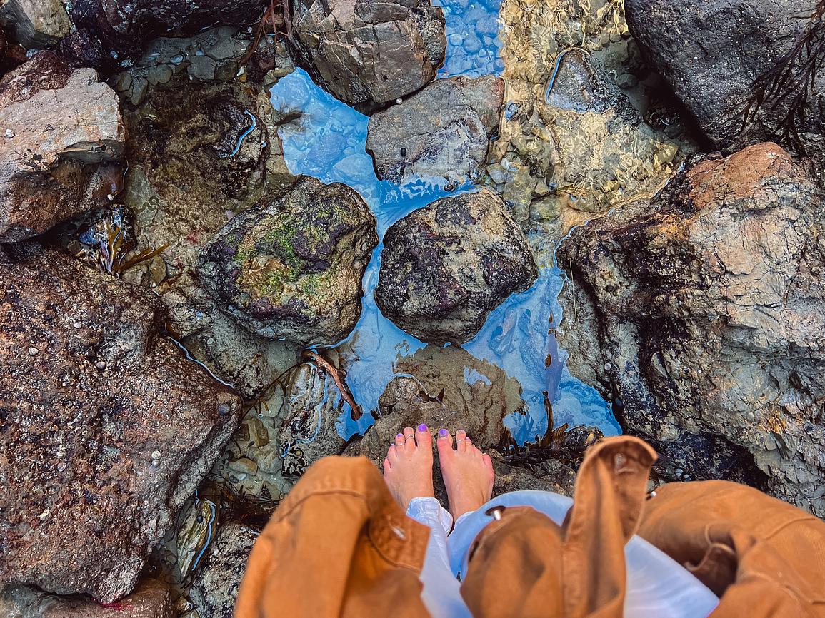 Low Tide cave climbing and rock rocks | Riparide