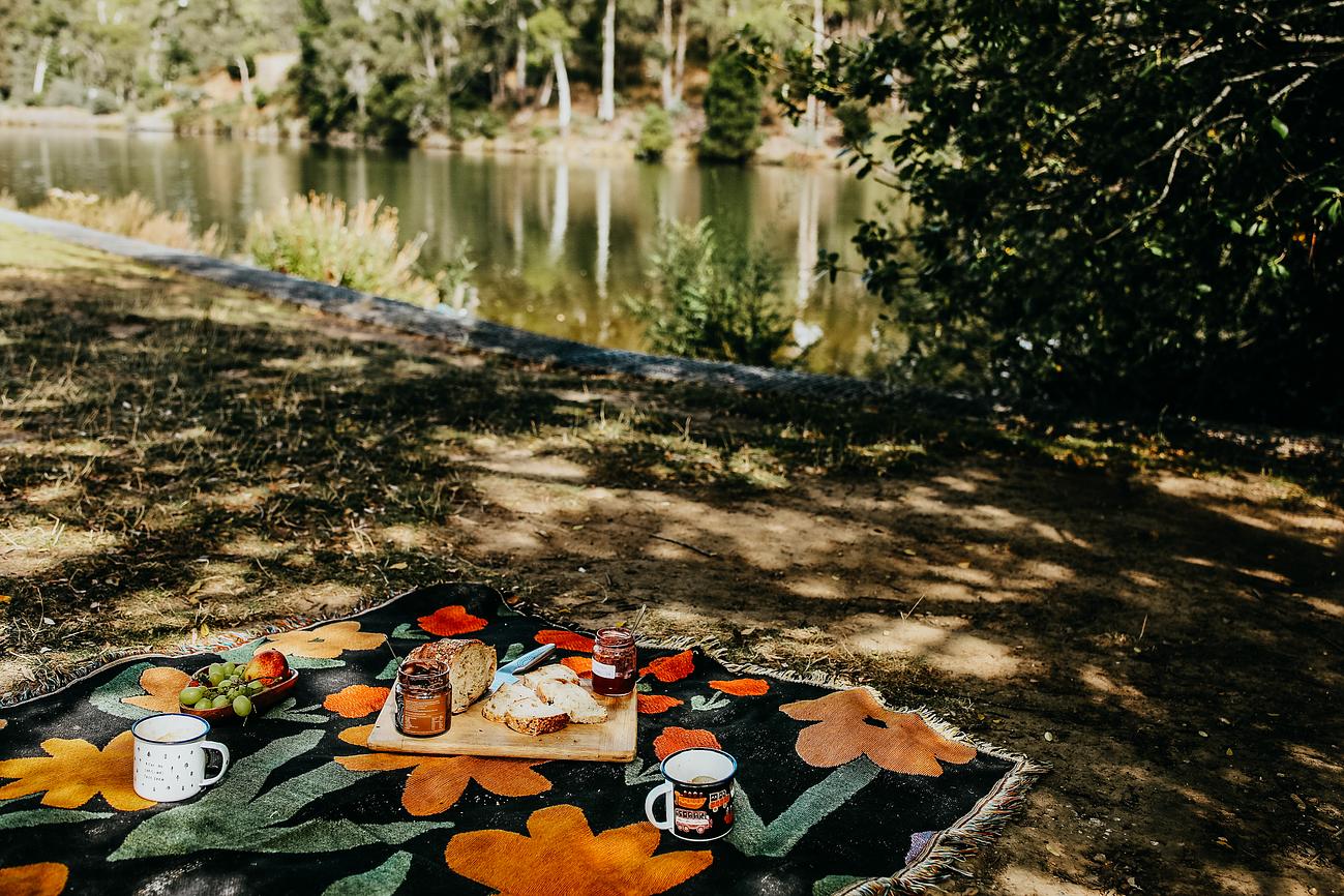 Picnic at Lake Daylesford | Riparide
