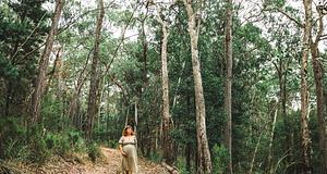 A Truck Retreat in Native Bushland - Adventure by Eva in Healesville, Yarra Valley, VIC, AU ...