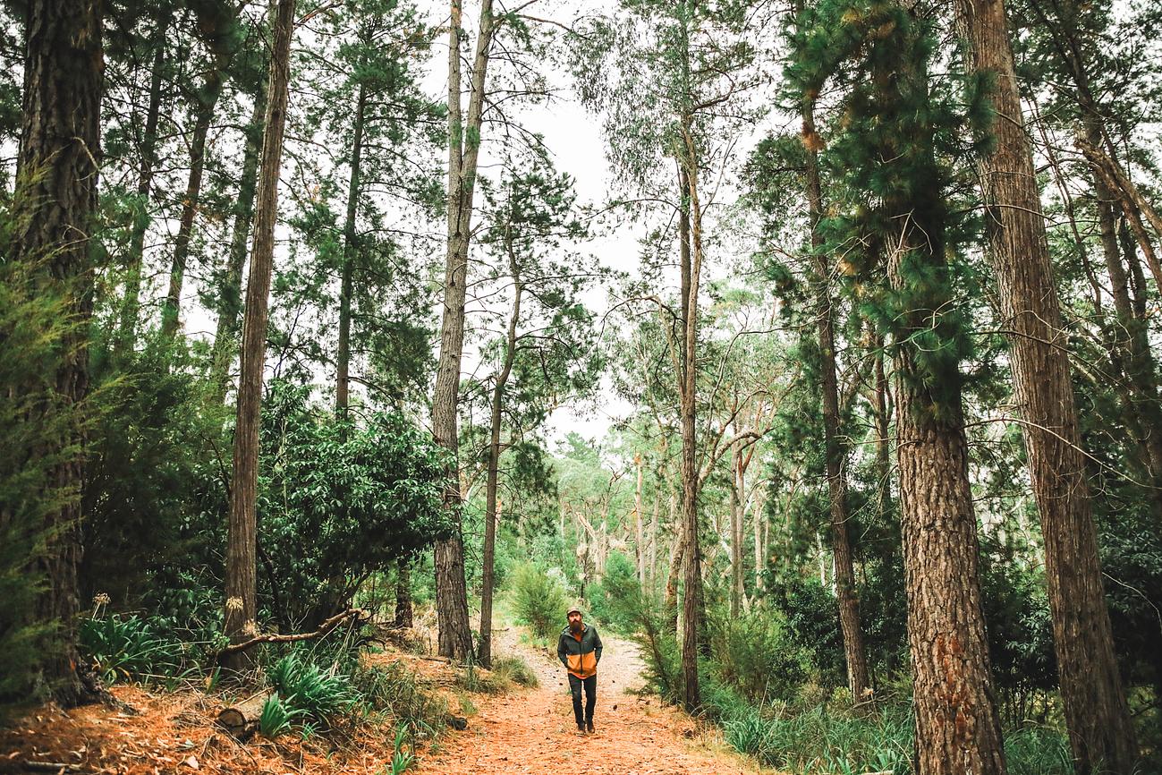 A Truck Retreat in Native Bushland - Adventure by Eva in Healesville, Yarra Valley, VIC, AU ...