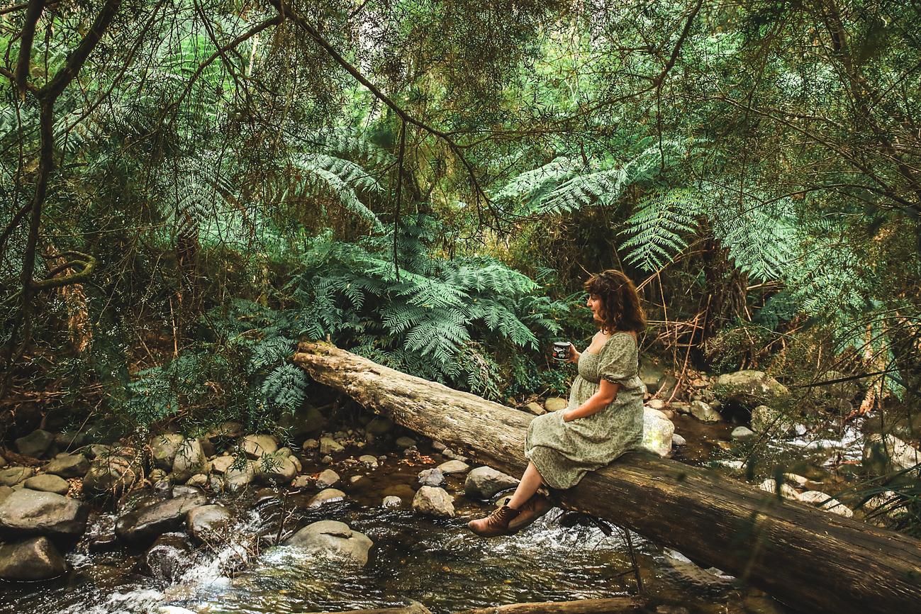 Coranderrk Creek | Riparide