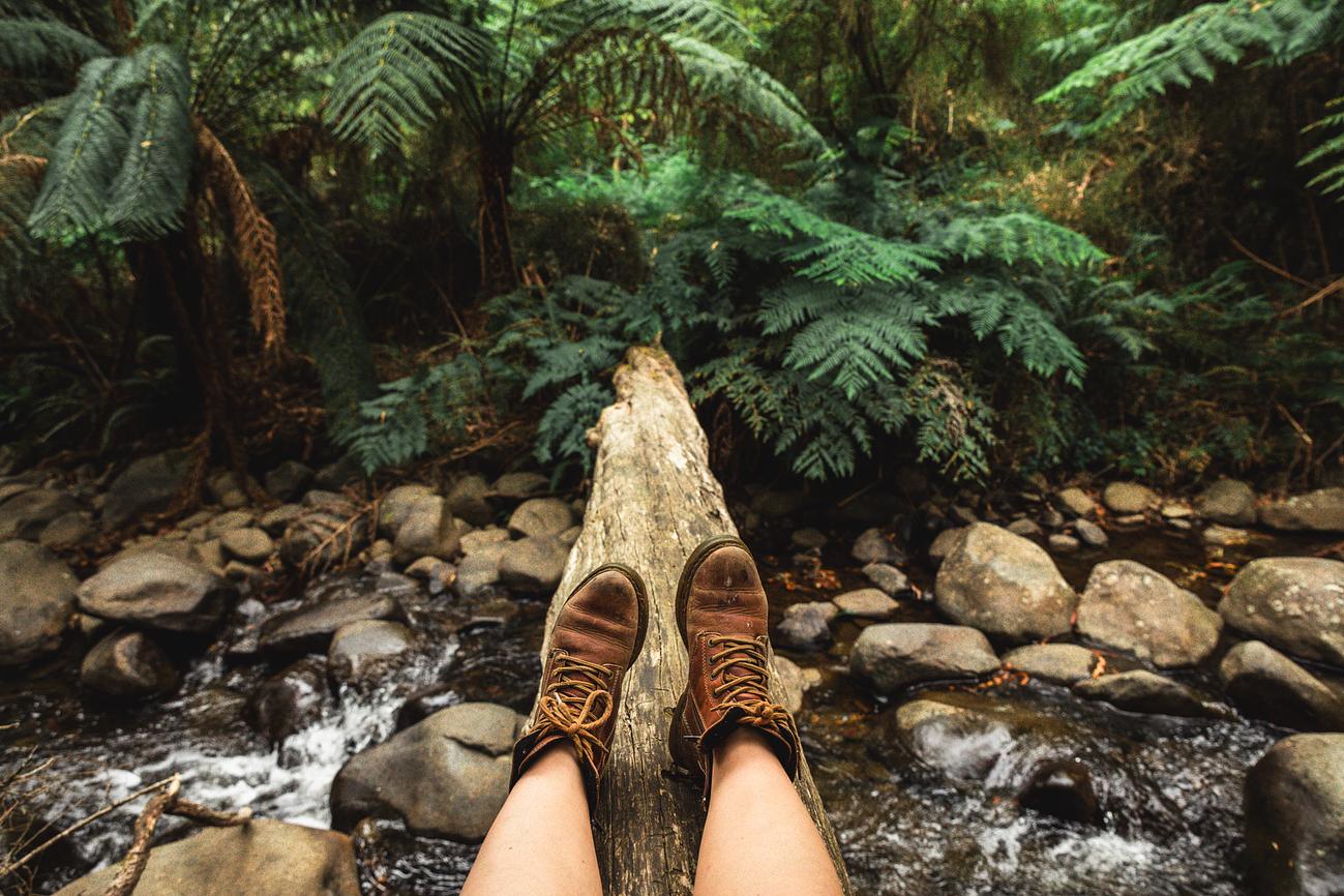 A Truck Retreat in Native Bushland - Adventure by Eva in Healesville, Yarra Valley, VIC, AU ...