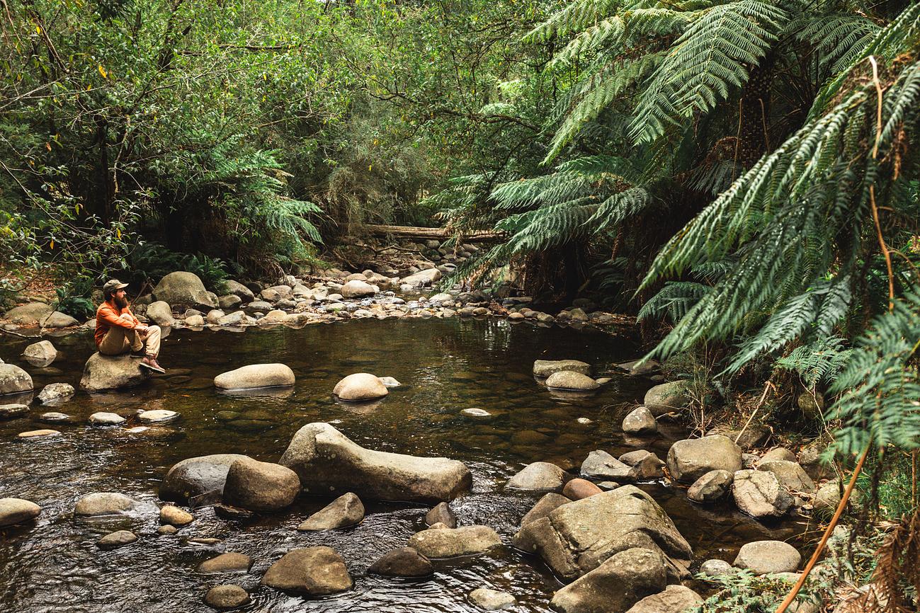 A Truck Retreat in Native Bushland - Adventure by Eva in Healesville, Yarra Valley, VIC, AU ...