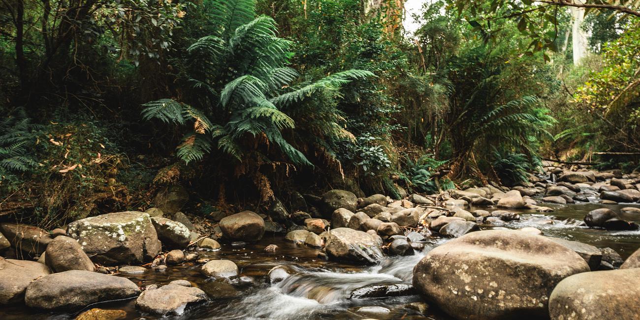 A Truck Retreat in Native Bushland - Adventure by Eva in Healesville, Yarra Valley, VIC, AU ...