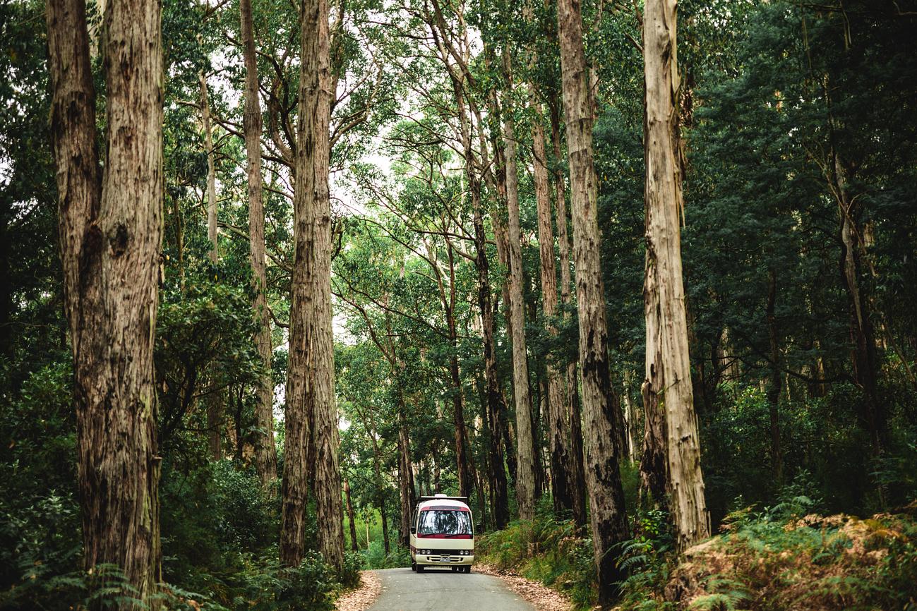 Coranderrk drive | Riparide