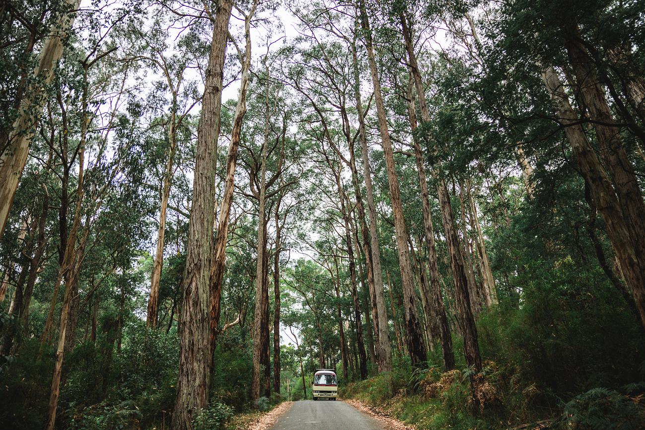 A Truck Retreat in Native Bushland - Adventure by Eva in Healesville, Yarra Valley, VIC, AU ...