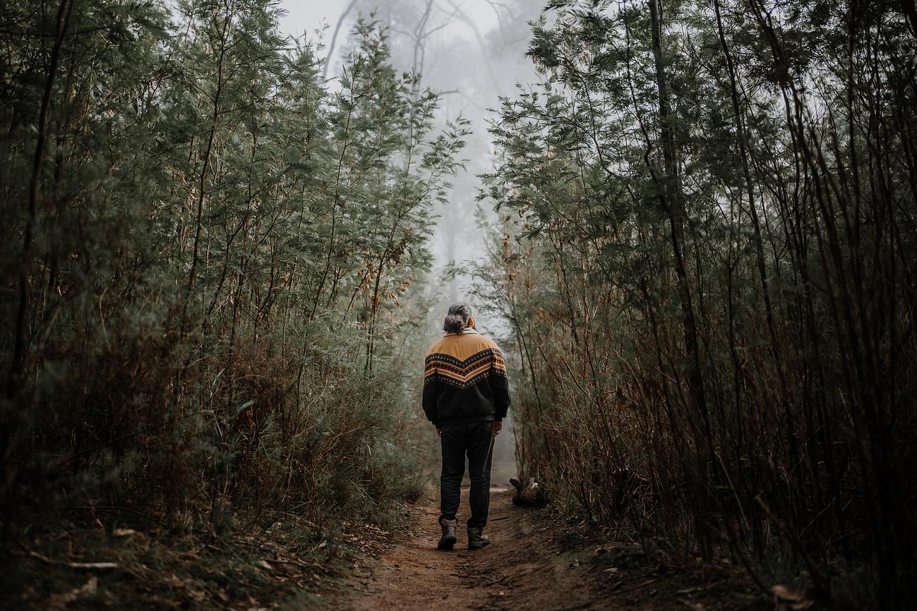 Mt Cannibal Walk | Riparide