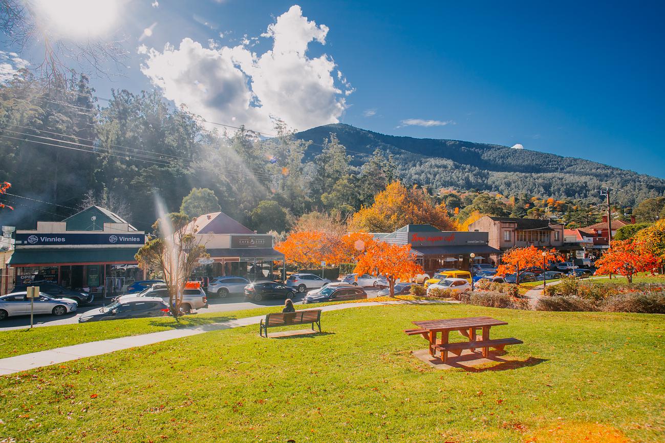 Wondering Warburton | Riparide