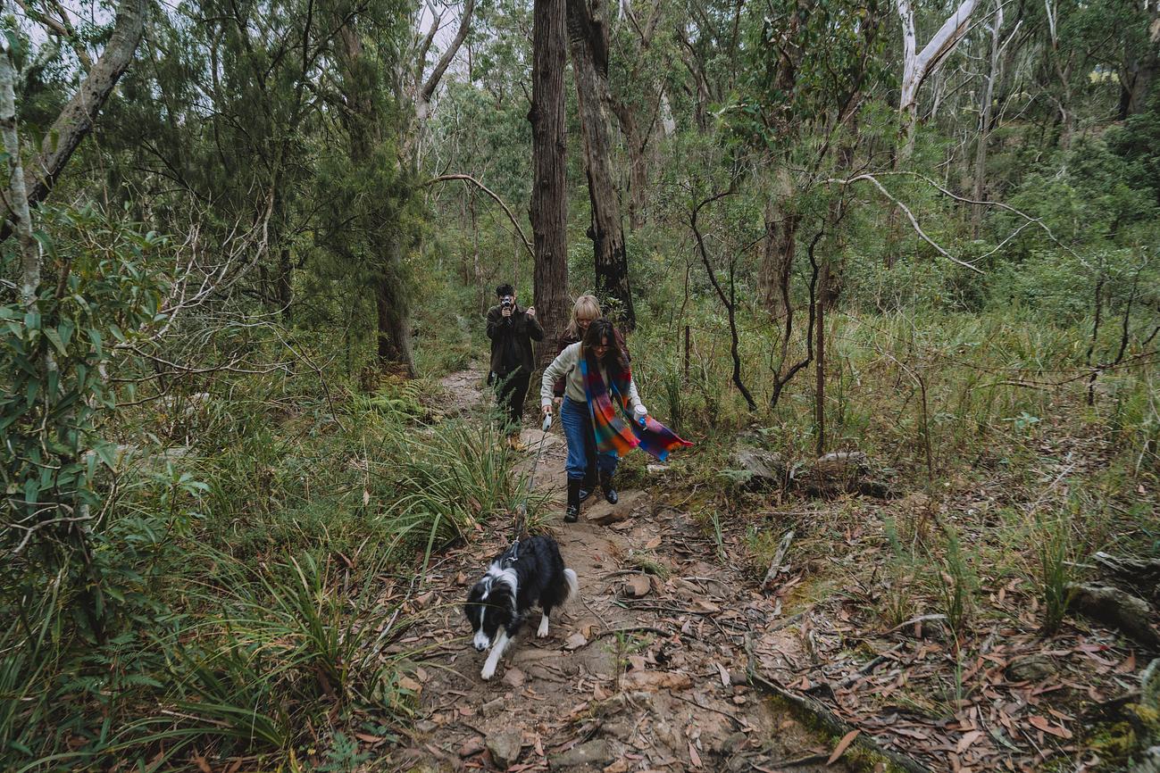 Bushwalk in Bowral - Gibbergunyah reserve | Riparide