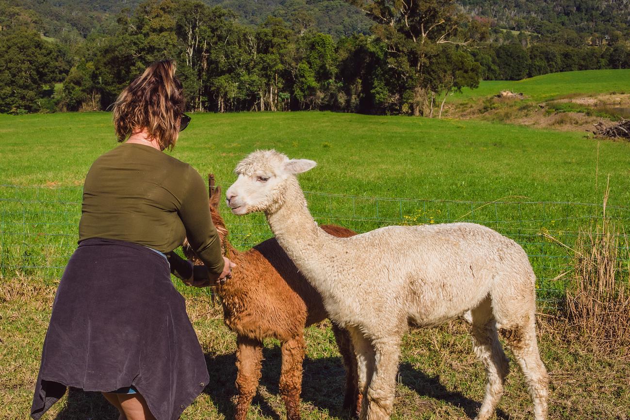 Exploring the property & making friends | Riparide