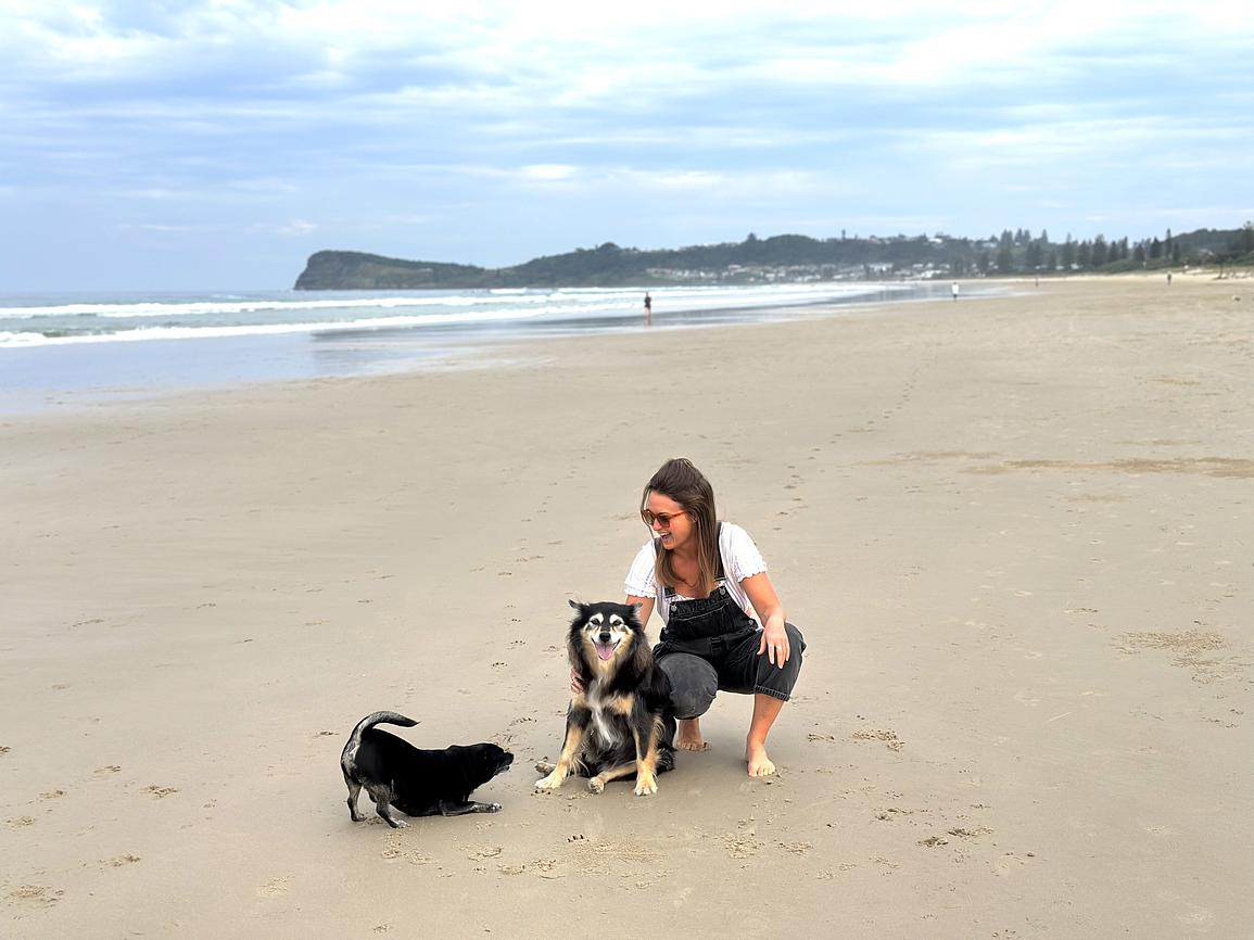 Seven Mile dog friendly beach | Riparide