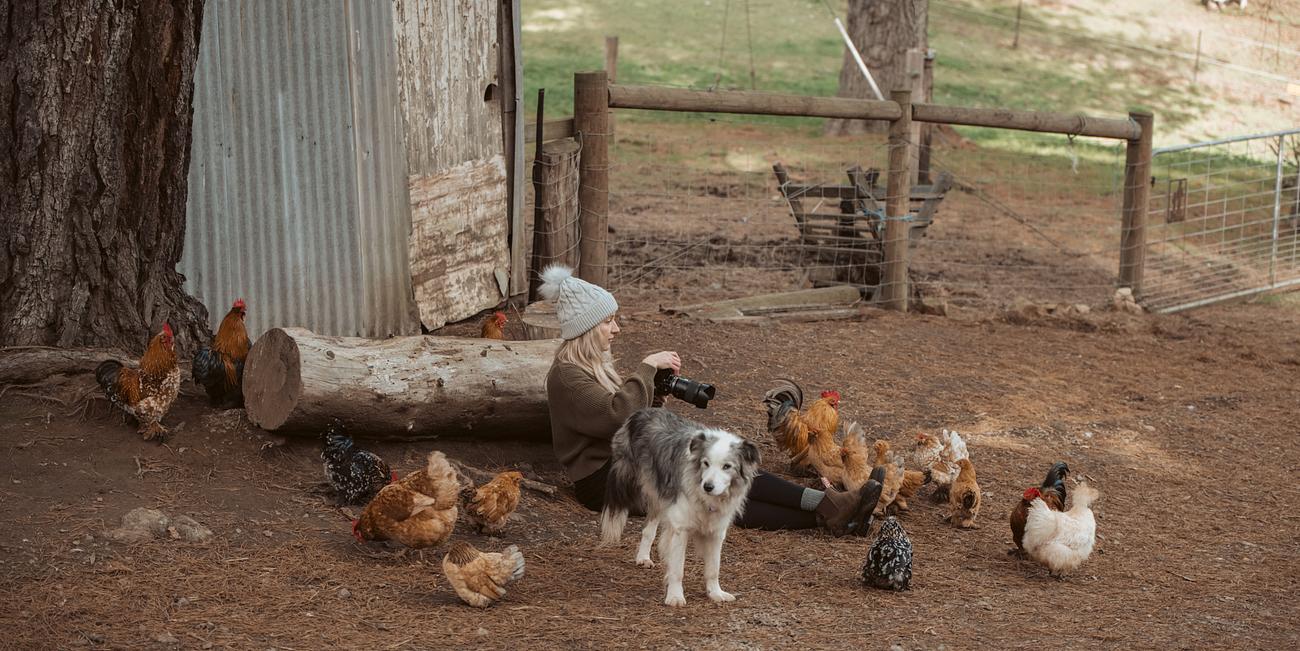 Wood Cabin Farm Stay - Adventure by Neisha in Monbulk, Dandenong Ranges ...