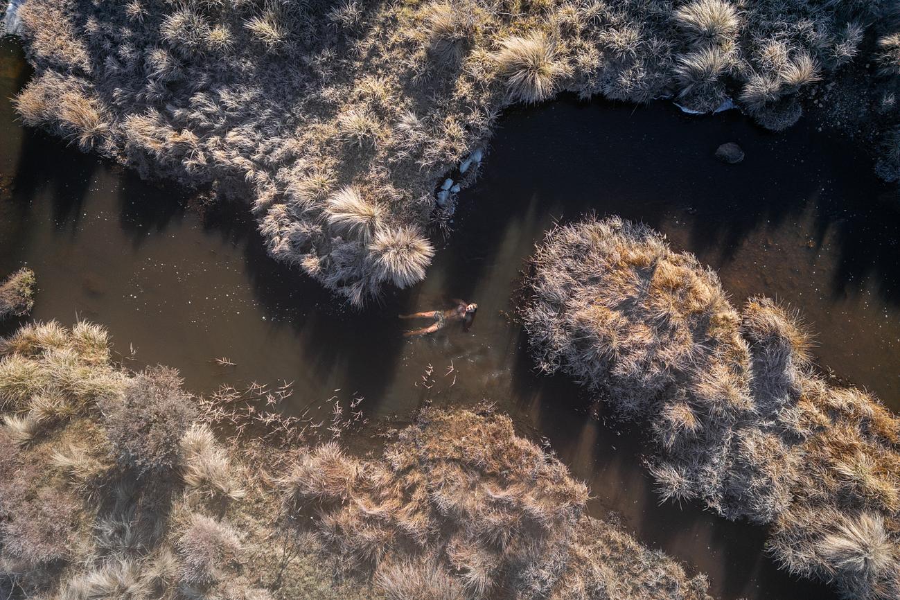 Swim In The Creek | Riparide