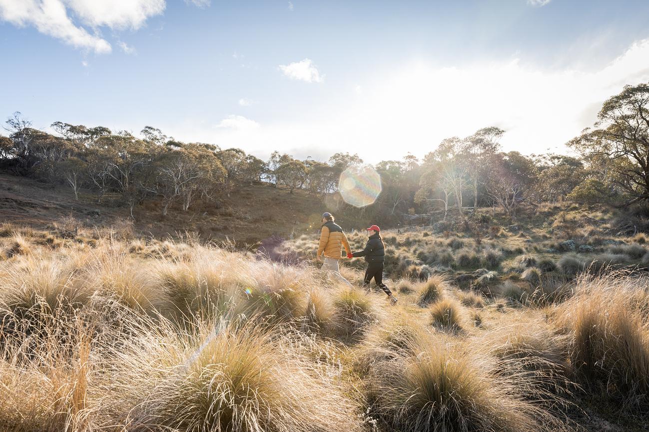 Walking The Property | Riparide