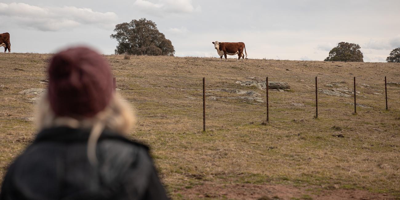 An Immersive Luxury Farm Stay Experience - Adventure by Ben in ...