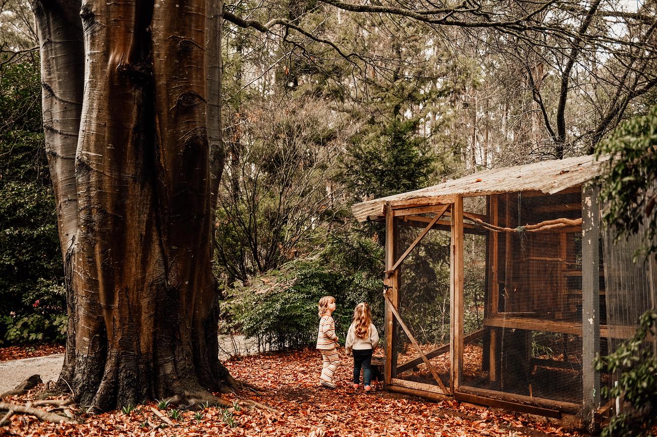 The Underground House Olinda - Eco house for Rent in Olinda, Dandenong ...