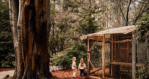 The Underground House Olinda - Eco house for Rent in Olinda, Dandenong Ranges, VIC, AU | Riparide