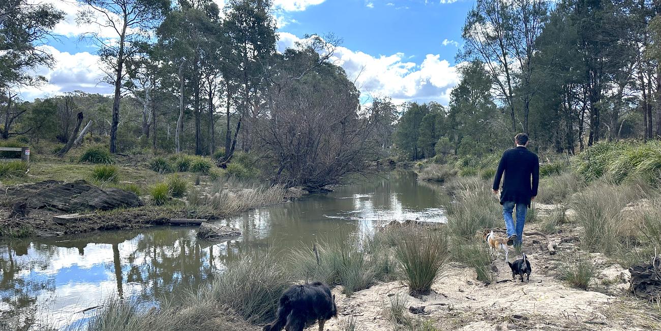 Forest bathing at The Vale - Adventure by Sarah in Penrose, Country NSW ...