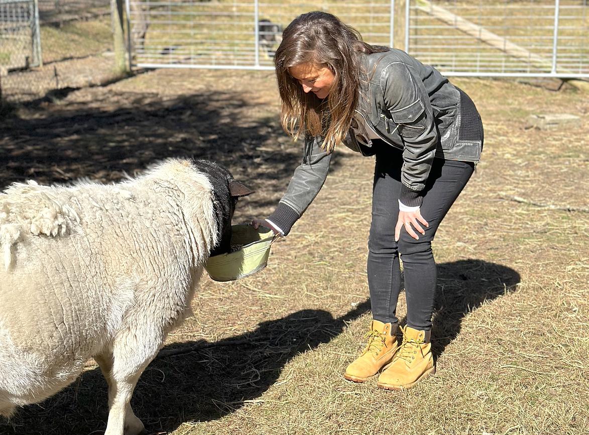 The Vale furry friends | Riparide