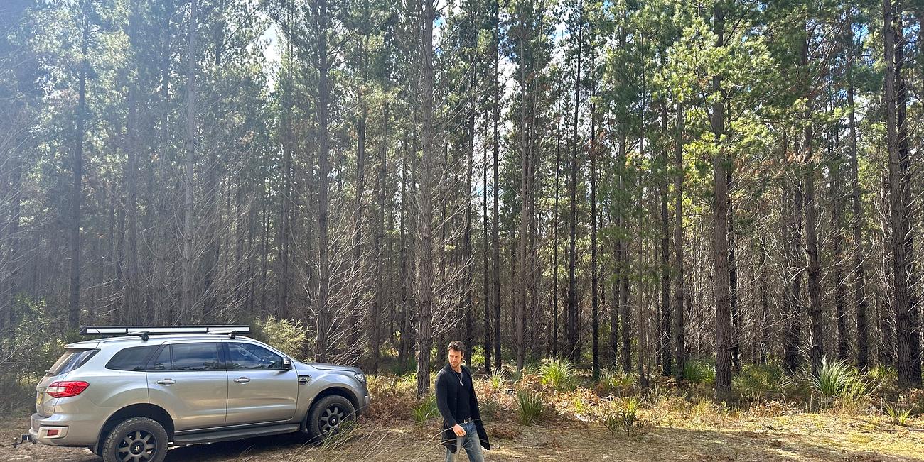 Forest bathing at The Vale - Adventure by Sarah in Penrose, Country NSW ...