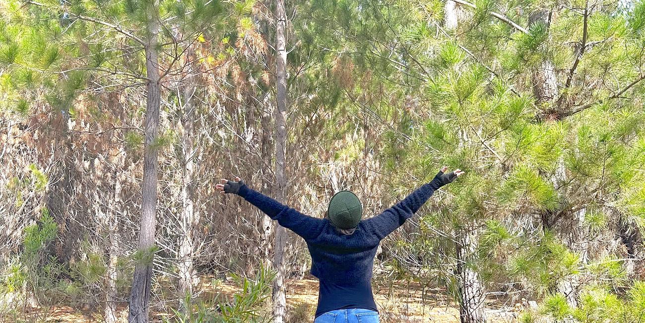 Forest bathing at The Vale - Adventure by Sarah in Penrose, Country NSW ...