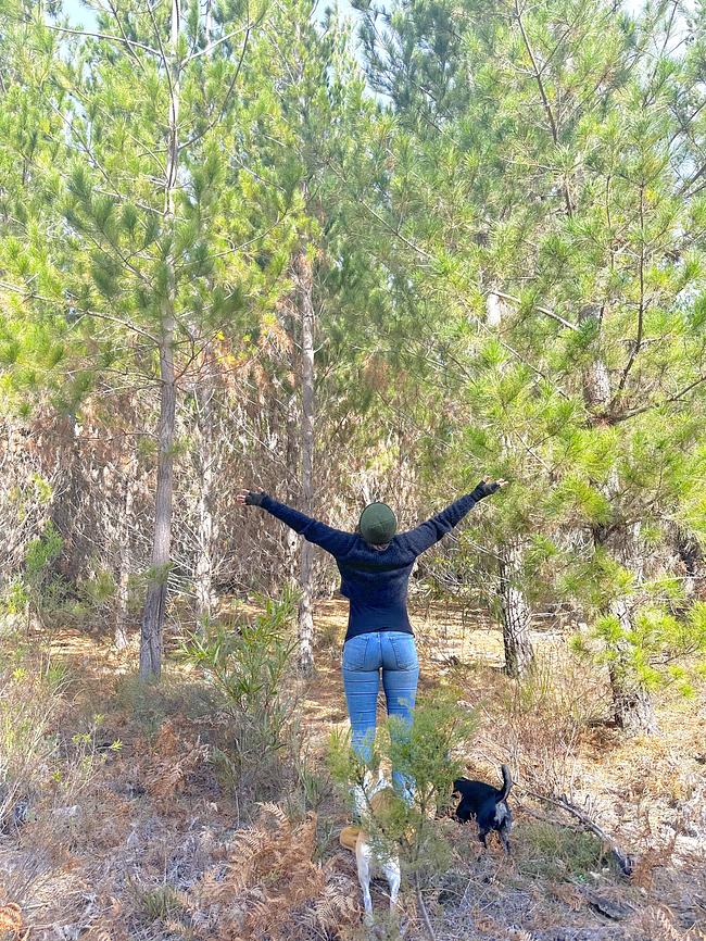 Forest bathing at The Vale - Adventure by Sarah in Penrose, Country NSW ...