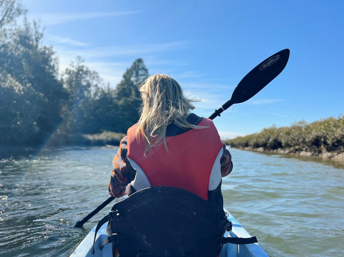 Hideaway Cabin by the River - Adventure by Stephanie in Aongatete, Bay ...