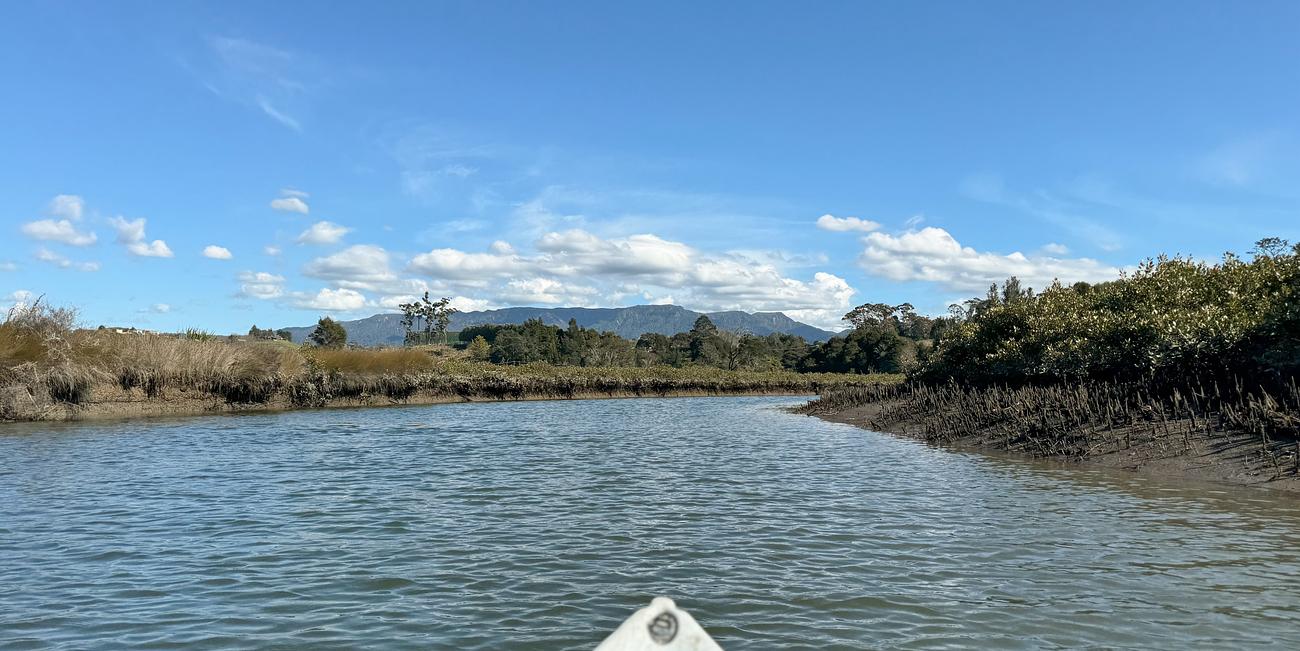 Hideaway Cabin by the River - Adventure by Stephanie in Aongatete, Bay of Plenty, NZ | Riparide