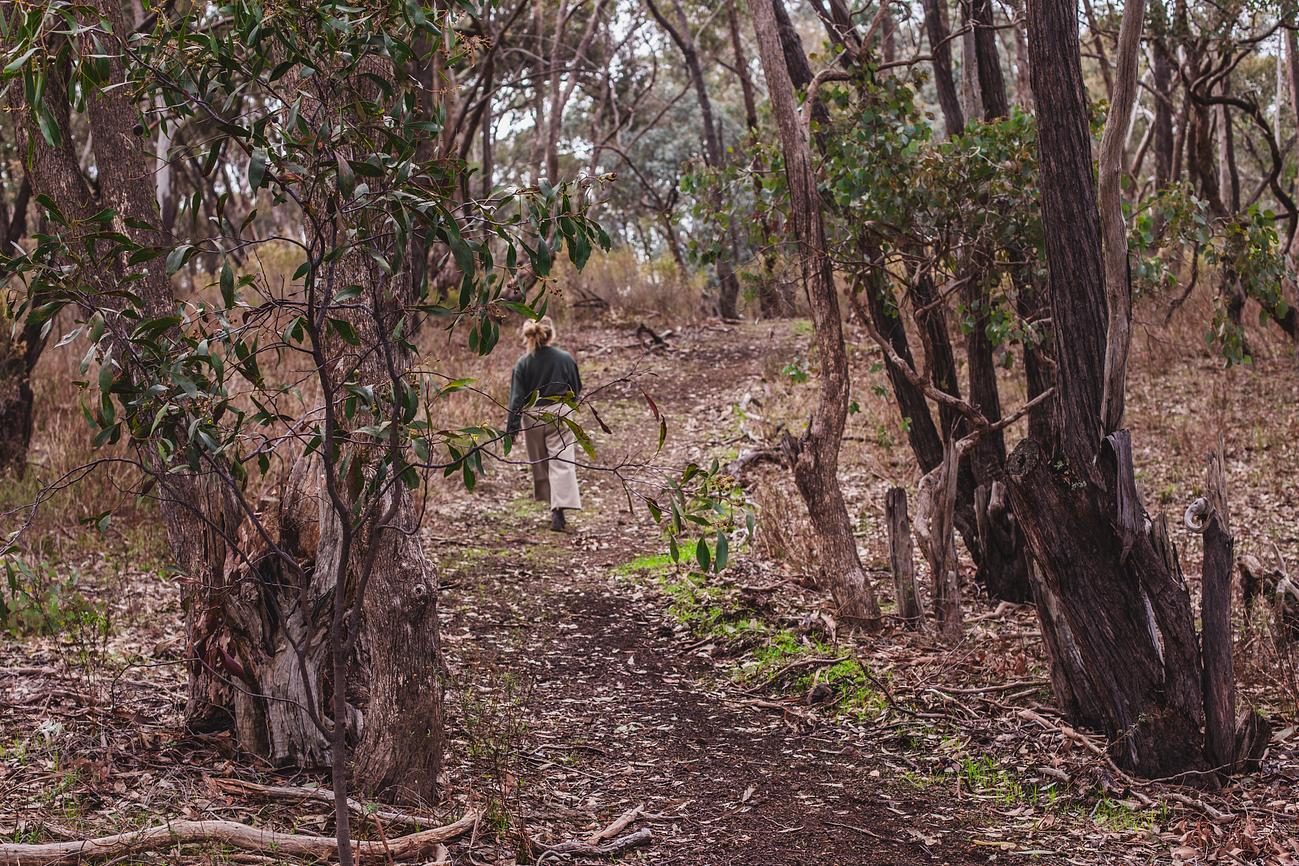 Wandering the Native Land | Riparide