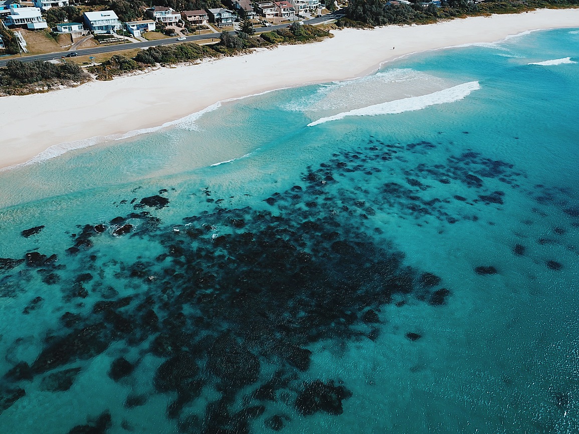 Early-Morning Ocean Swims | Riparide