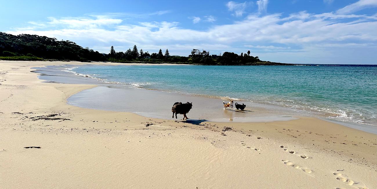 Log Cabin Lovin - Adventure by Sarah in Termeil, South Coast, NSW, AU | Riparide