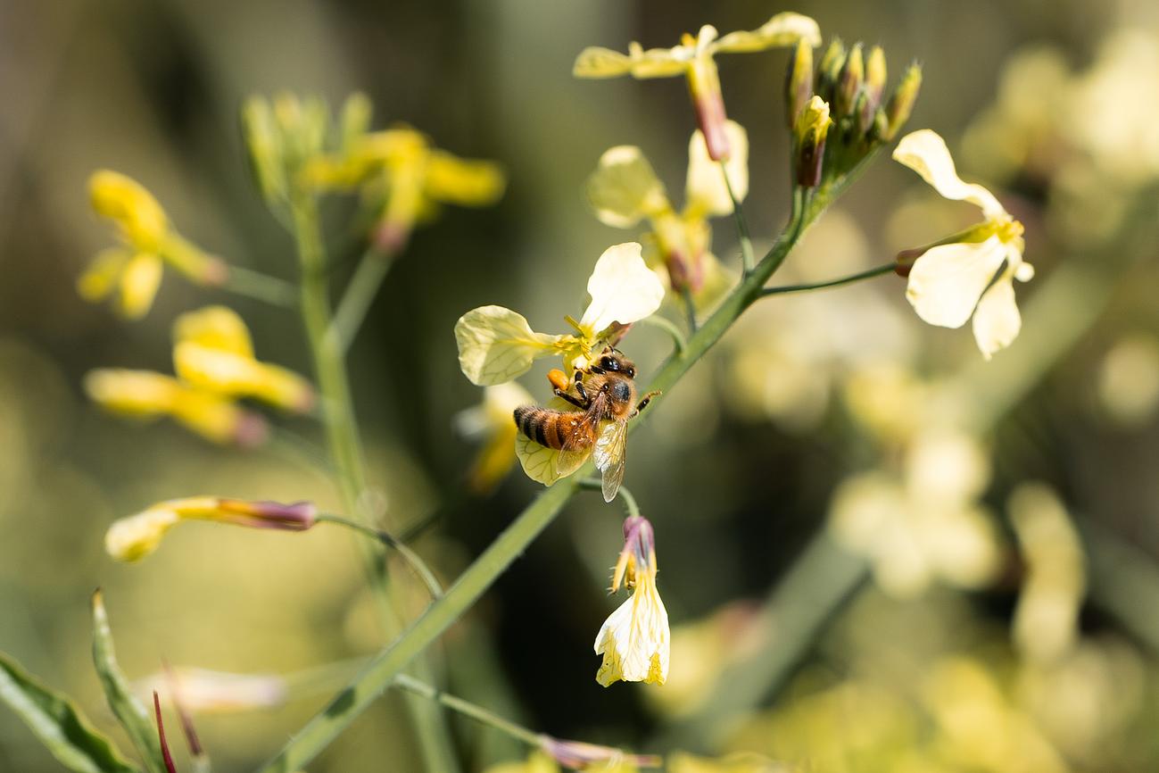 Outdoor bath bliss - Adventure by Kristina in Waiuku, Auckland, NZ | Riparide
