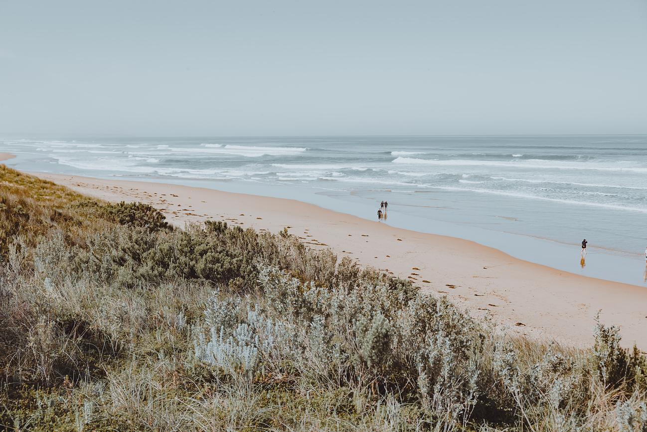 Venus Beach | Riparide