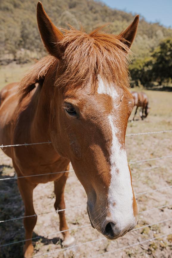 Exploring Macdonald | Riparide