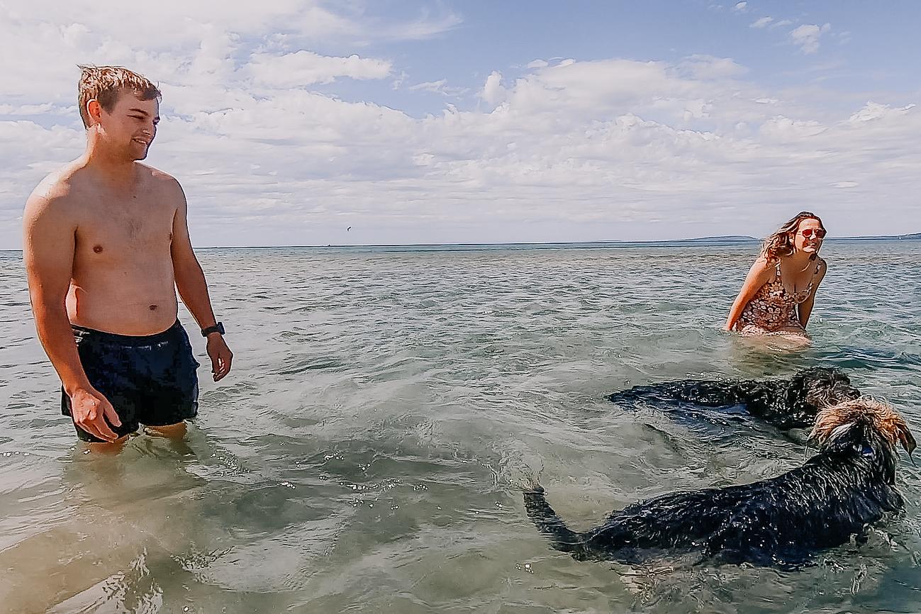 Dog Friendly Beach | Riparide