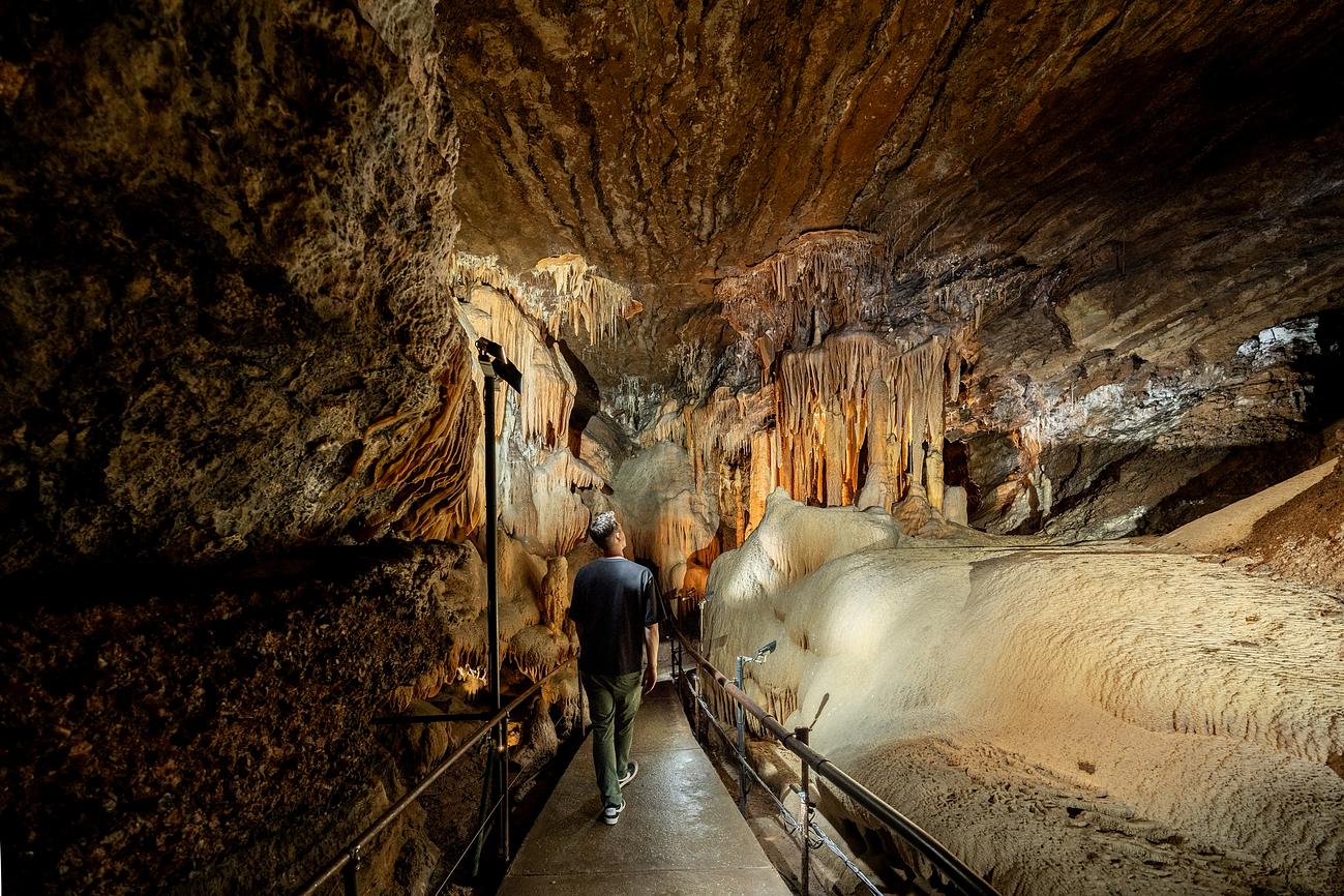 Experience the natural beauty of the Buchan Caves Reserve | Riparide