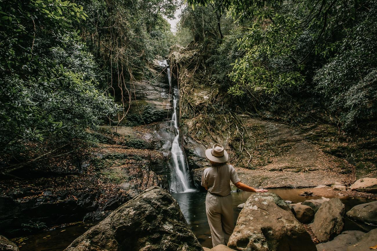Waterfall Walk Through the Rainforest | Riparide