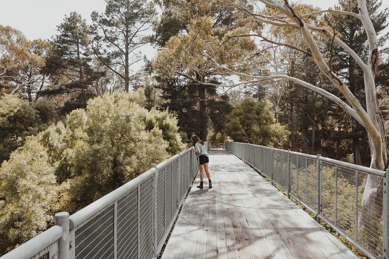 Daylesford to Hepburn hike | Riparide