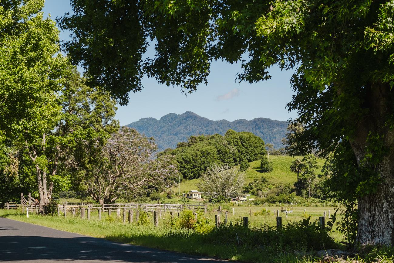 Scenic Drive & Swim | Riparide