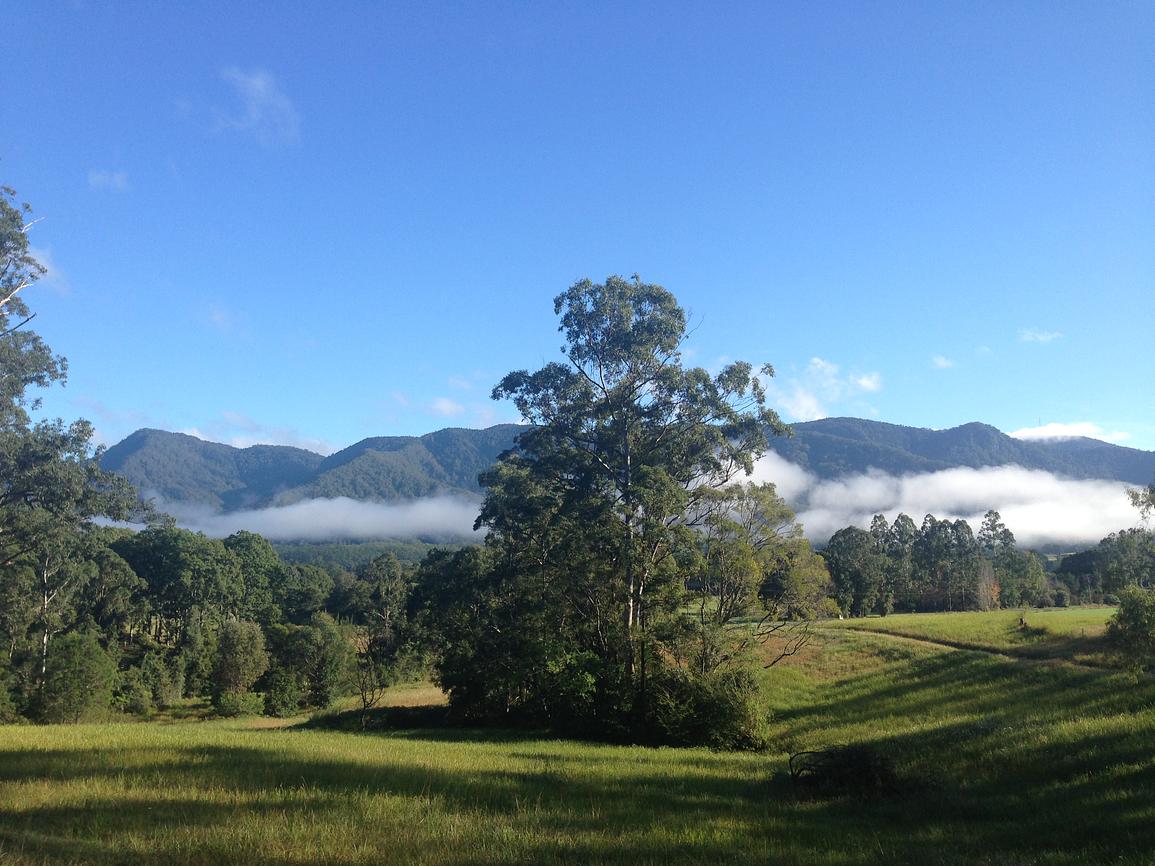 Blue Gum Couples Escape Mountain View and nearby creek - House for Rent ...