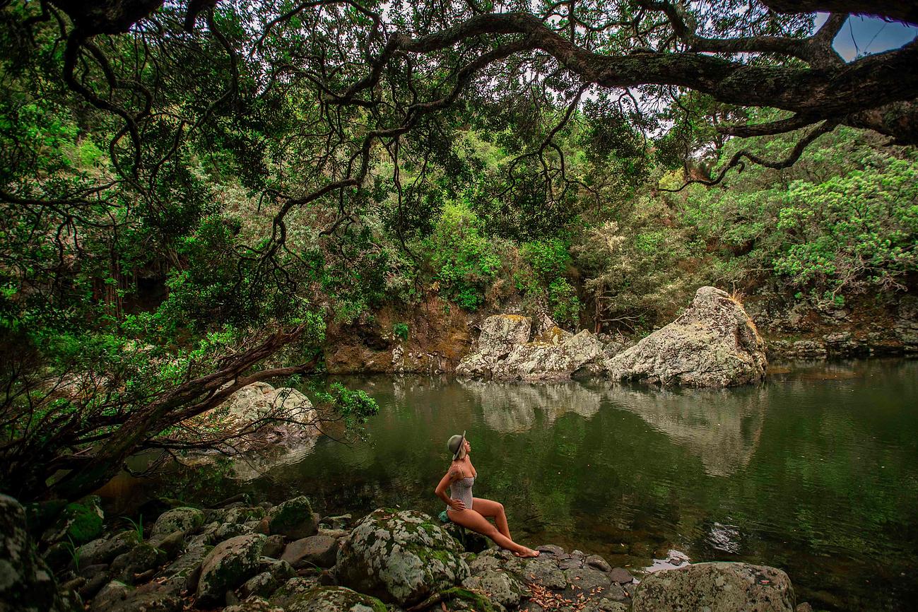 Walk to the Swimming hole | Riparide