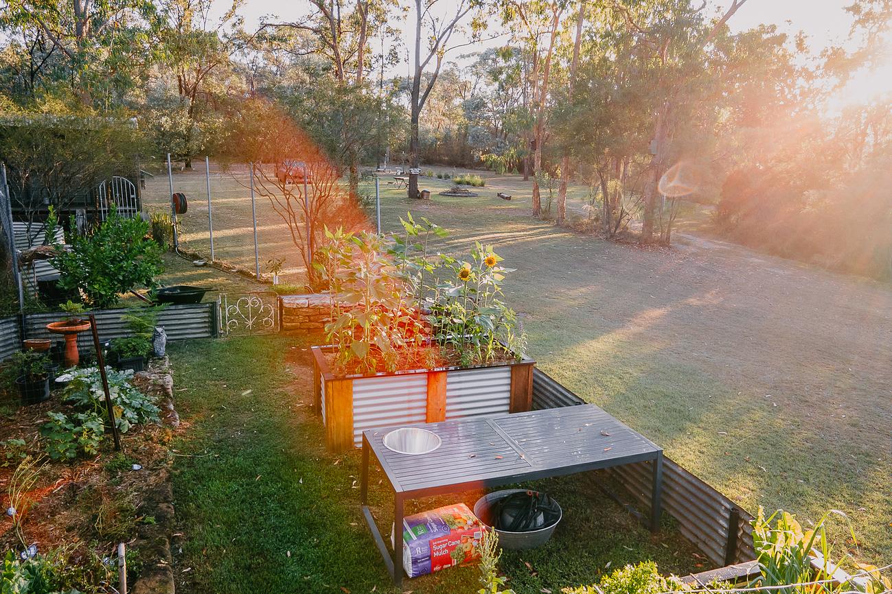 Veggie Garden Tour | Riparide