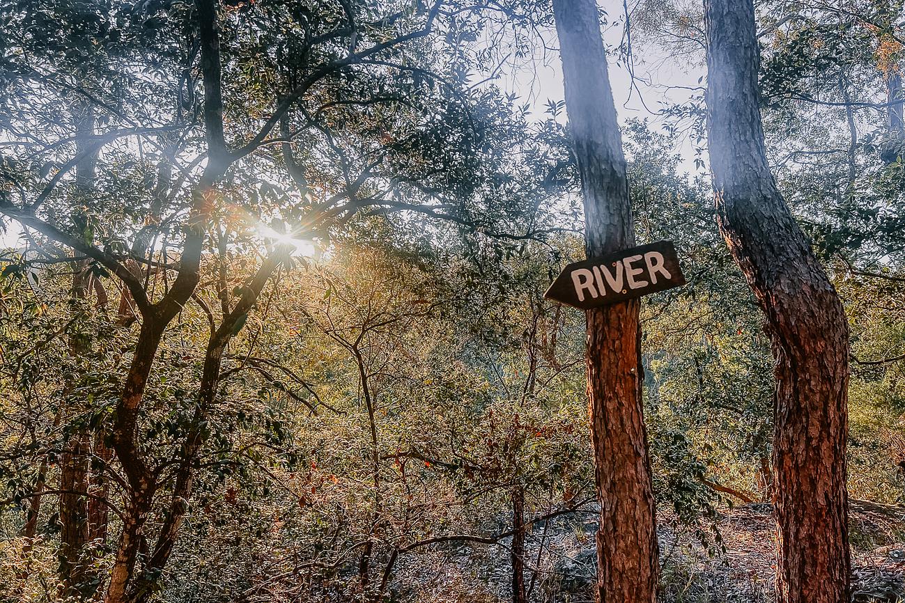 Bush Walk & River Swim | Riparide