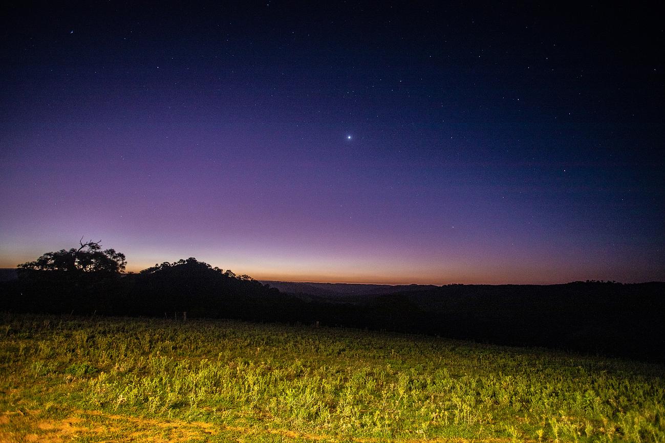 Outback Star Gazing | Riparide