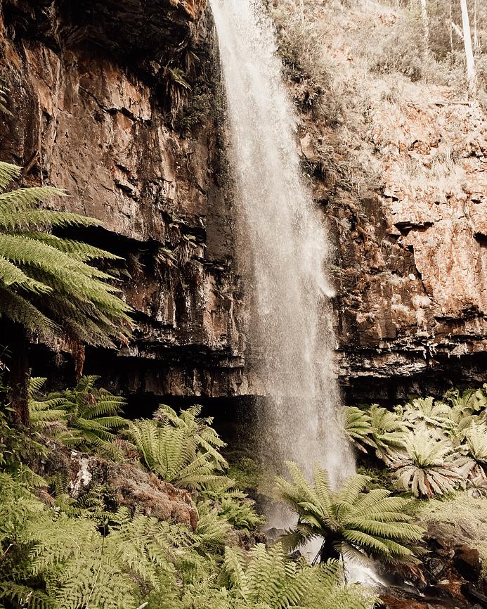 How's the Serenity at Daisy Hill - Adventure by Saskia in Bonnie Doon ...