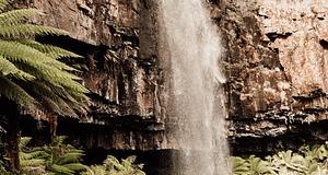 How's the Serenity at Daisy Hill - Adventure by Saskia in Bonnie Doon, High Country, VIC, AU ...