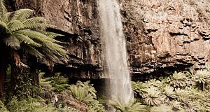 How's the Serenity at Daisy Hill - Adventure by Saskia in Bonnie Doon, High Country, VIC, AU ...