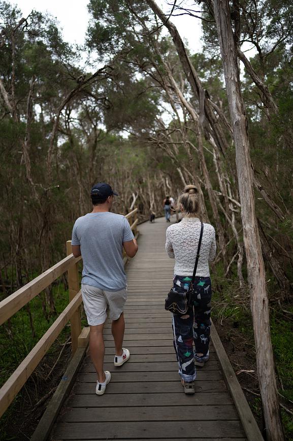 The Briars wetland walk | Riparide